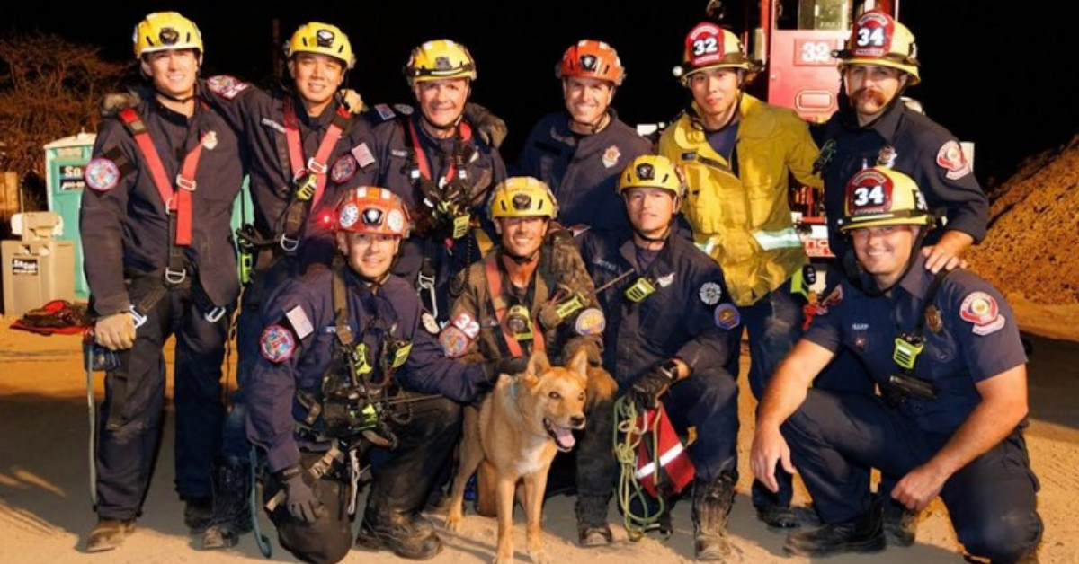 Firefighters Save Elderly, Blind Dog After Dog Falls Down 15-Foot-Deep Hole