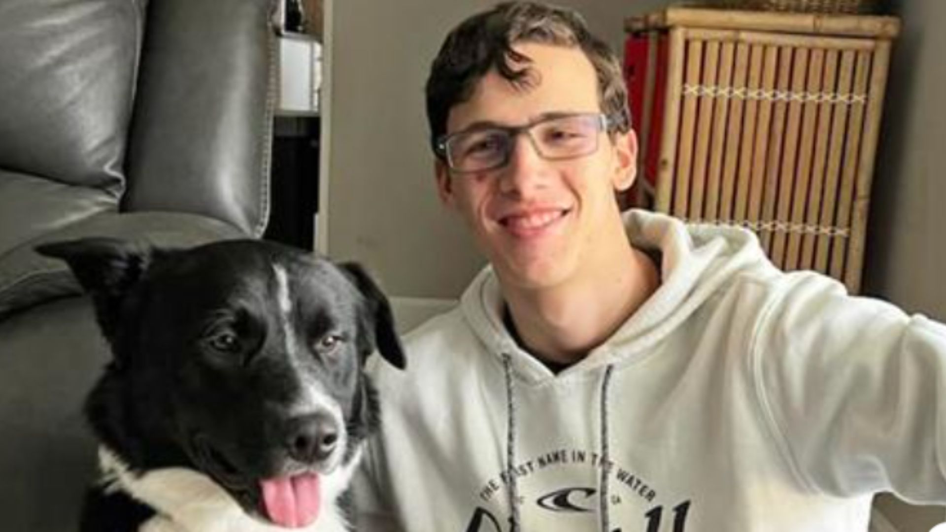 Miracle: Rescue Dog Saves Boy's Life, Wakes Up Owners at 5 AM